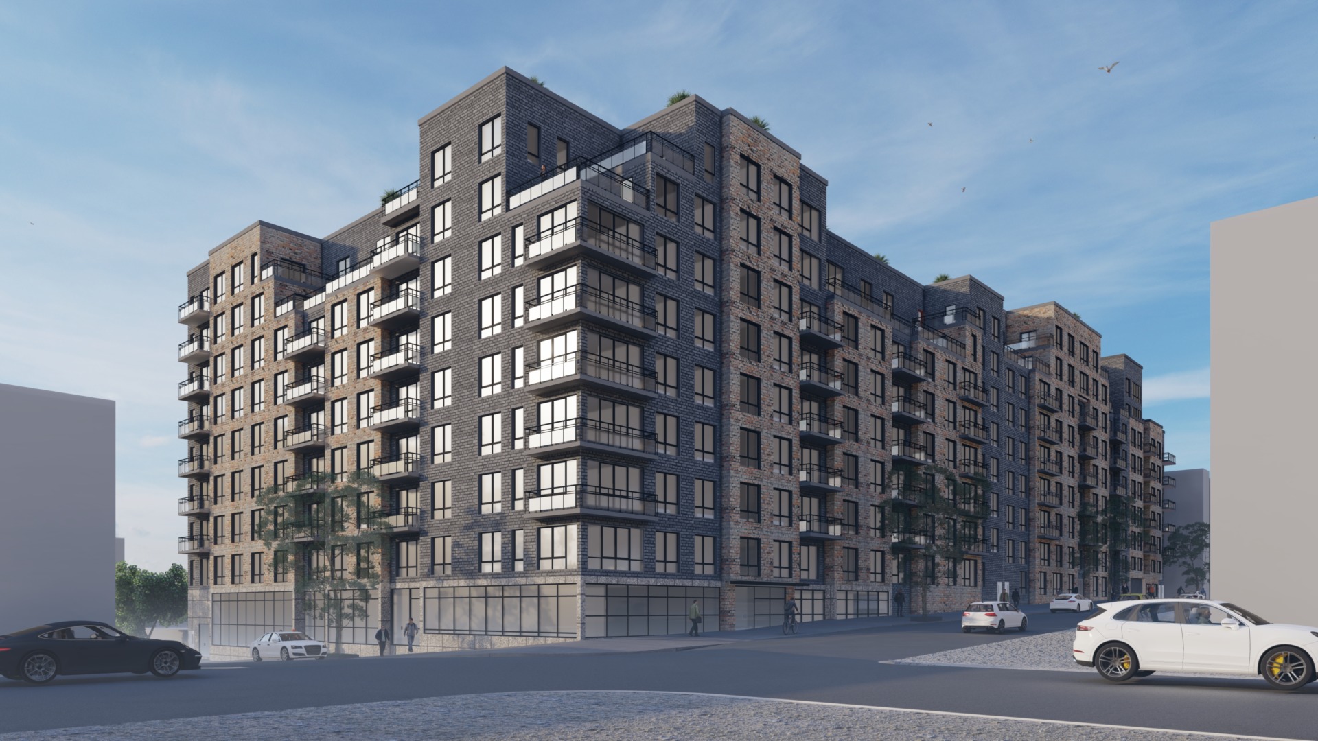 Crown Street - Rise Architecture